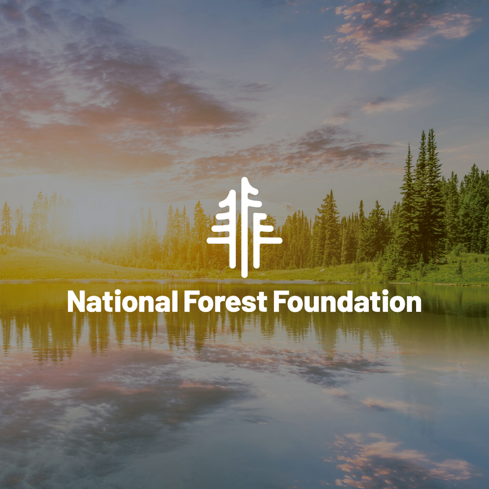 Sustainability - Solo